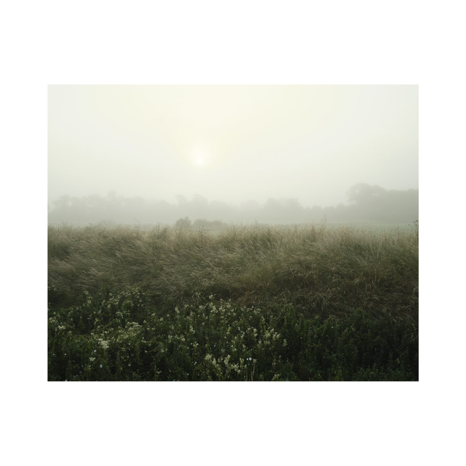 Sutherland II Print by Tom Shaw - ANOTHER COUNTRY