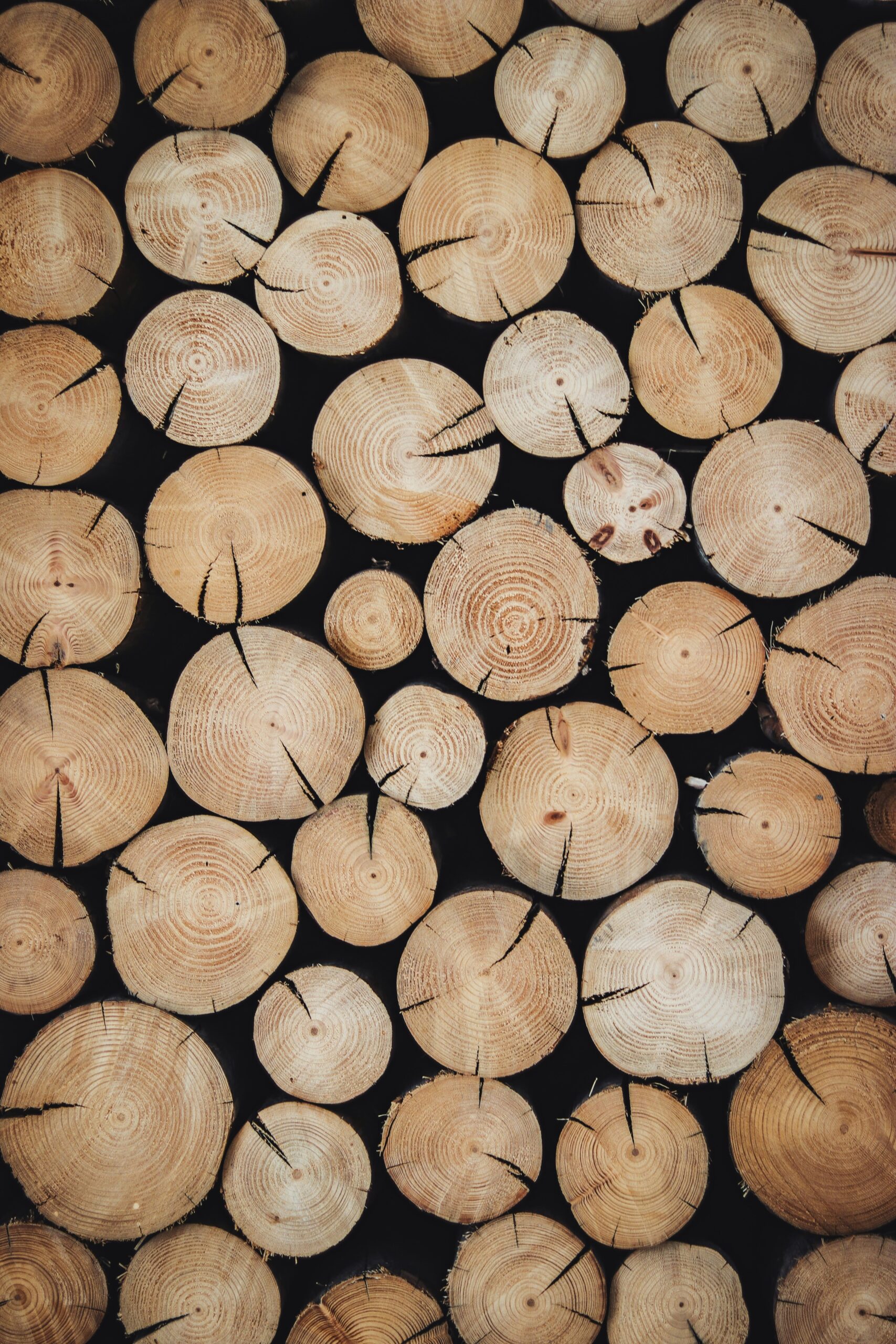 Sustainable Forestry & Ethical Design: Another Country Furniture